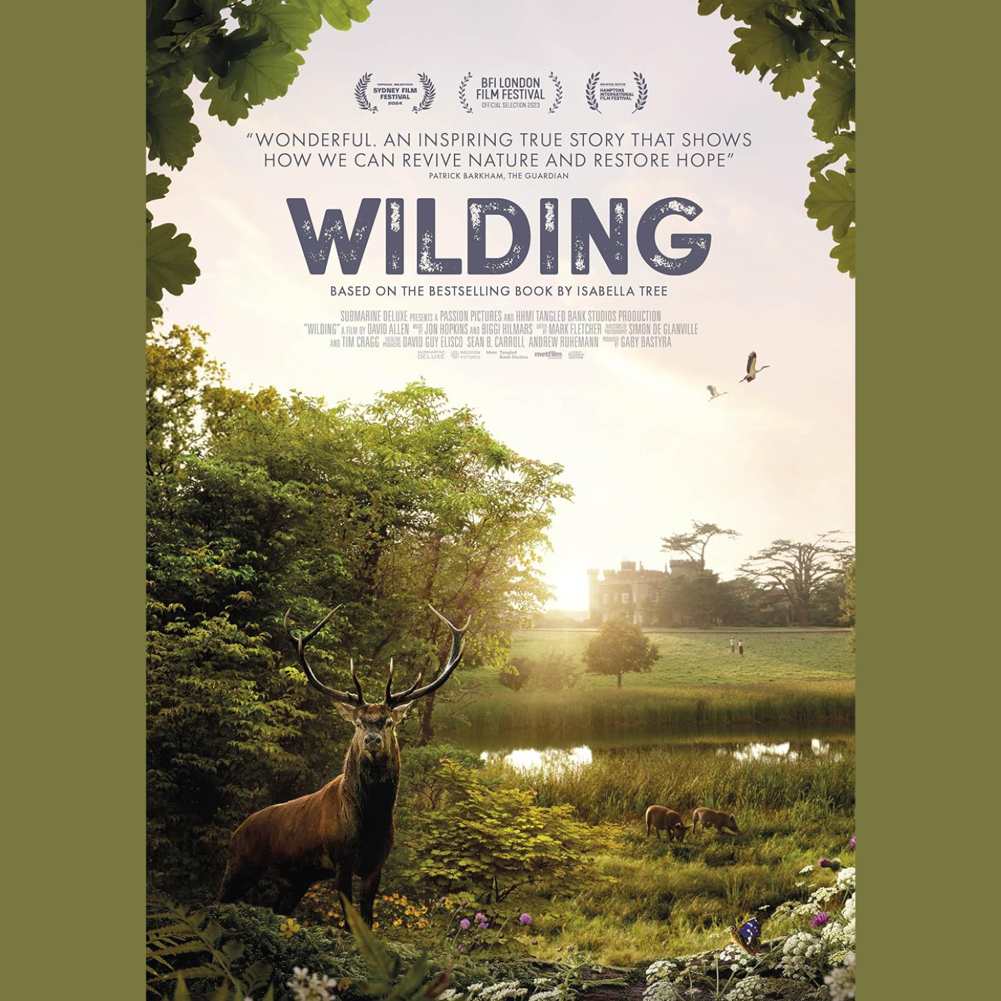 WILDING PLUS Q&A – Theatr Gwaun